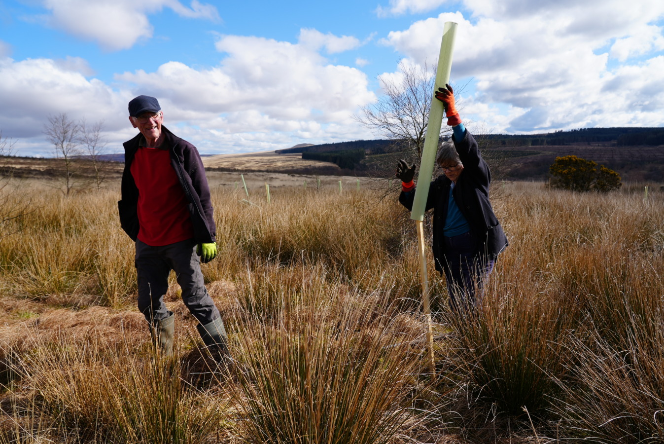 Learn about our free trees for Scotland initiative